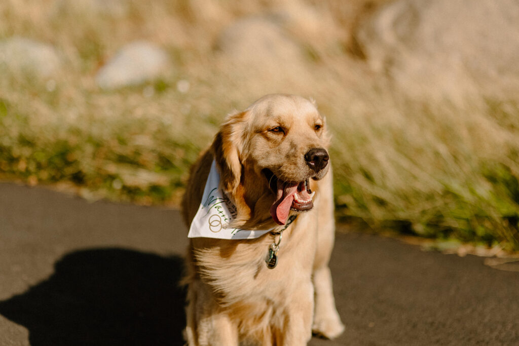 Kraig and Micah's Suncadia Resort Proposal Photoshoot ...
